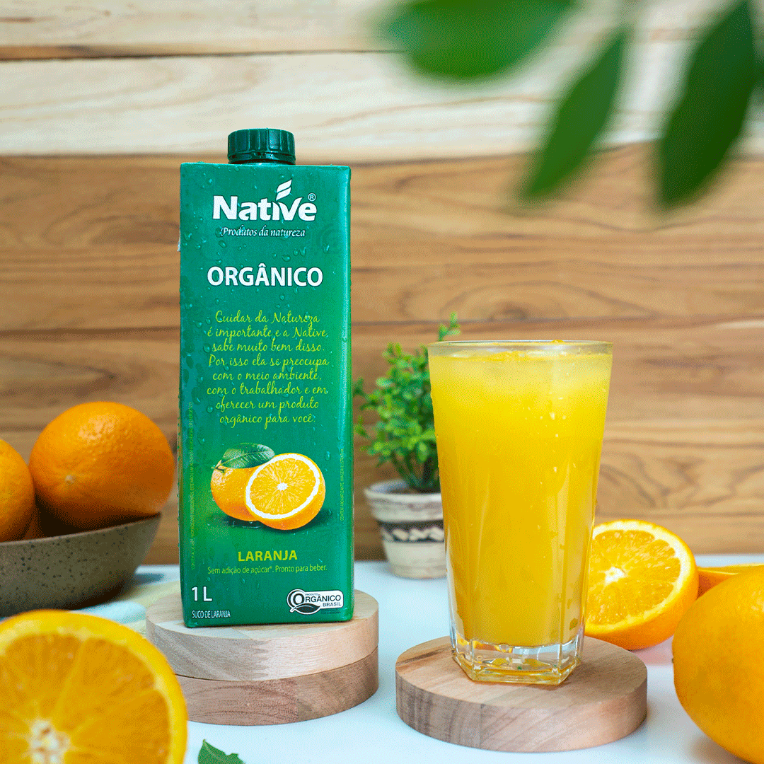 SUCO LARANJA ORG CX 12X1LT