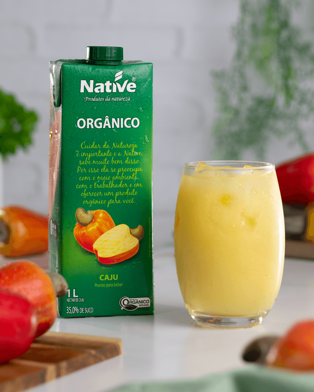 NECTAR DE CAJU ORG 12X1LT